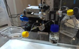 AMF - Microfluidic sample preparation