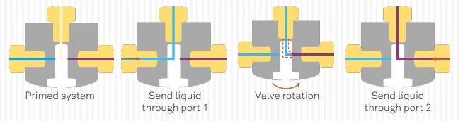 AMF - Rotary valve carryover and dead volumes