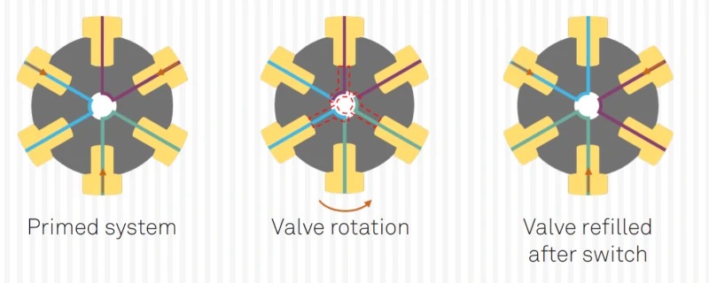 AMF - Rotary valve carryover and dead volumes