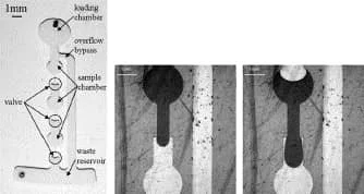Microfluidic valve types, comparing all types of valves